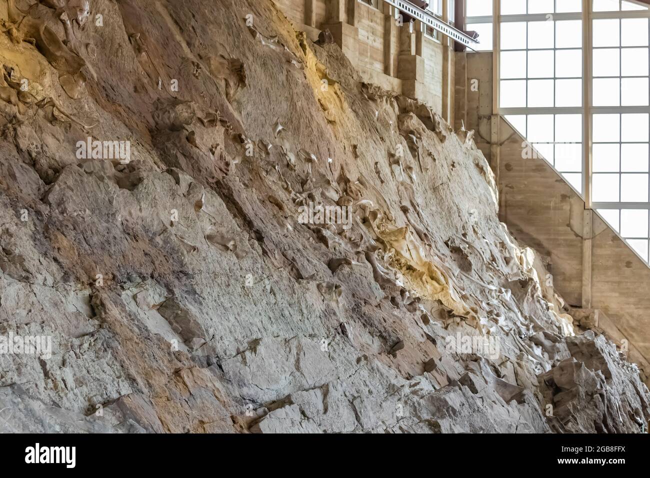 Spectacular exhibit of dinosaur bones excavated in situ by ...