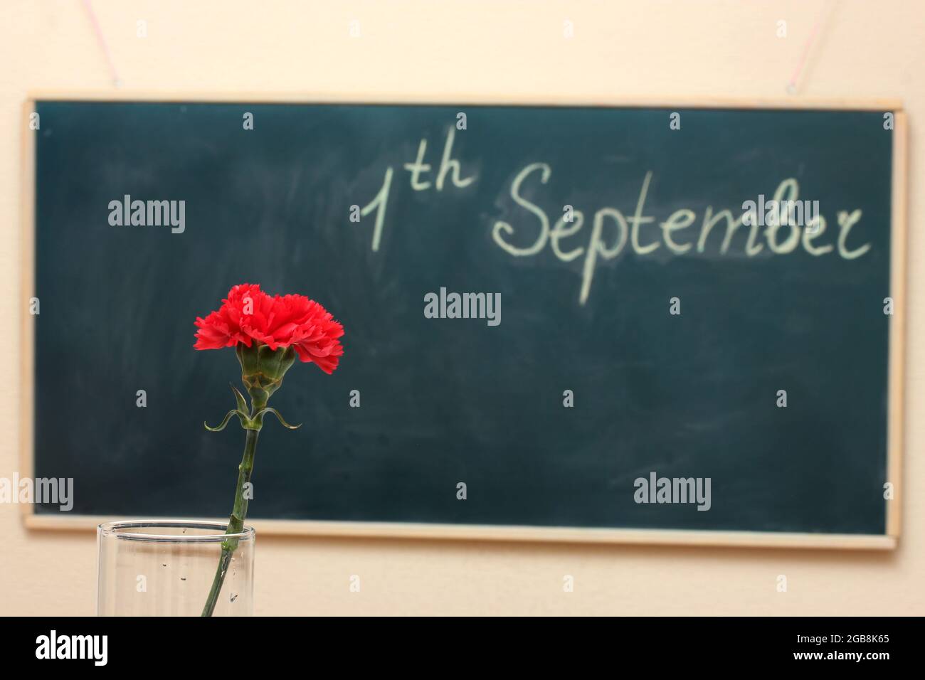 The date on the blackboard. First of September. A red carnation Stock ...