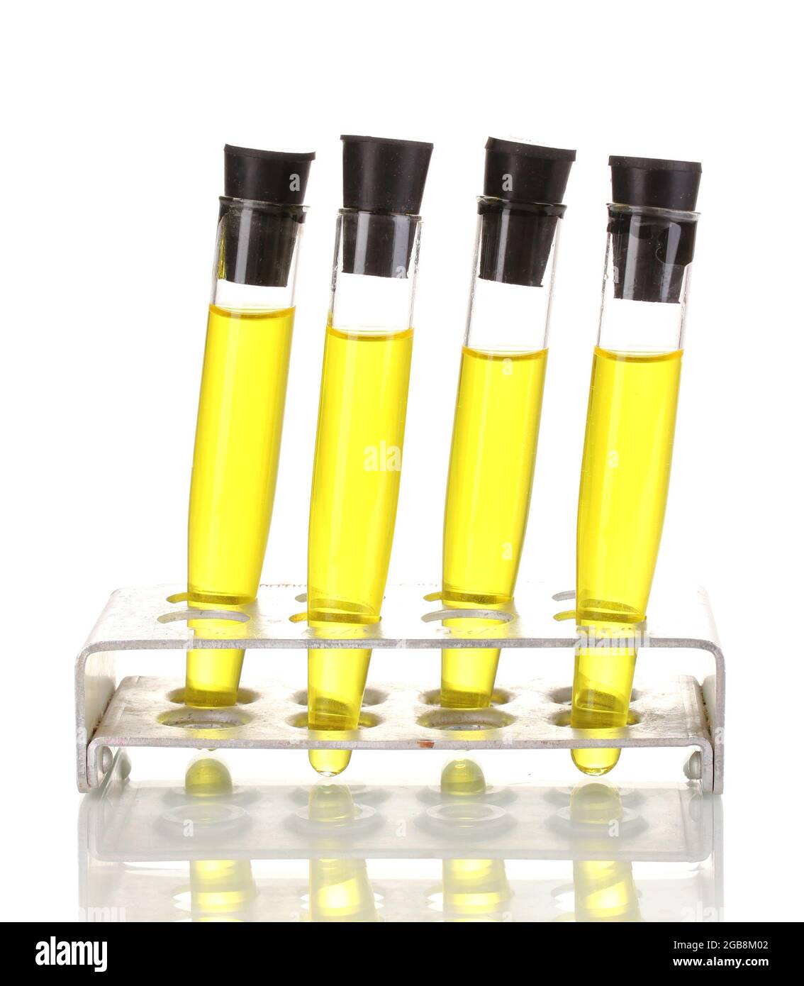 Test-tubes with yellow liquid isolated on white Stock Photo - Alamy