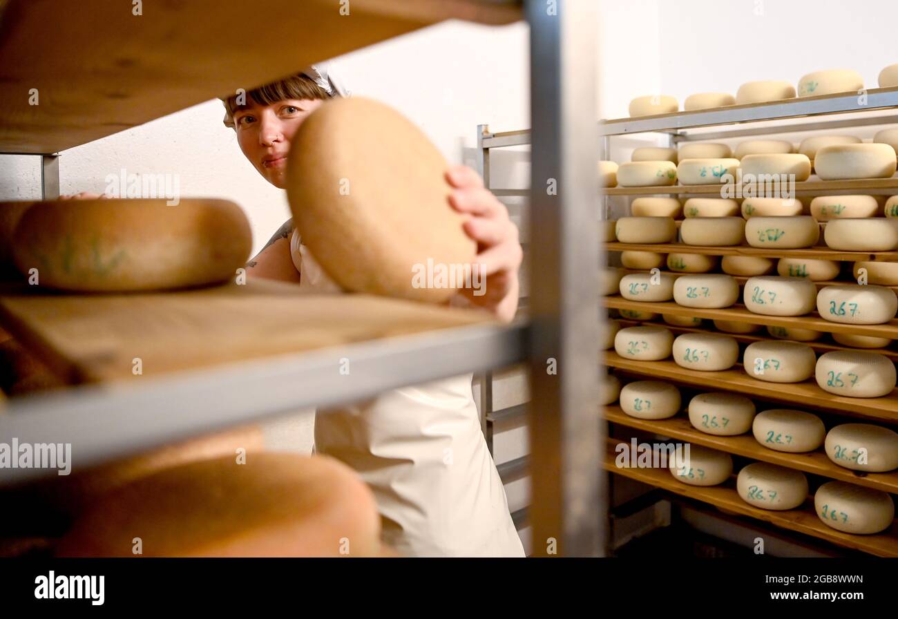 Flatow, Germany. 30th July, 2021. Farmer Sarah Spindler turns the ...