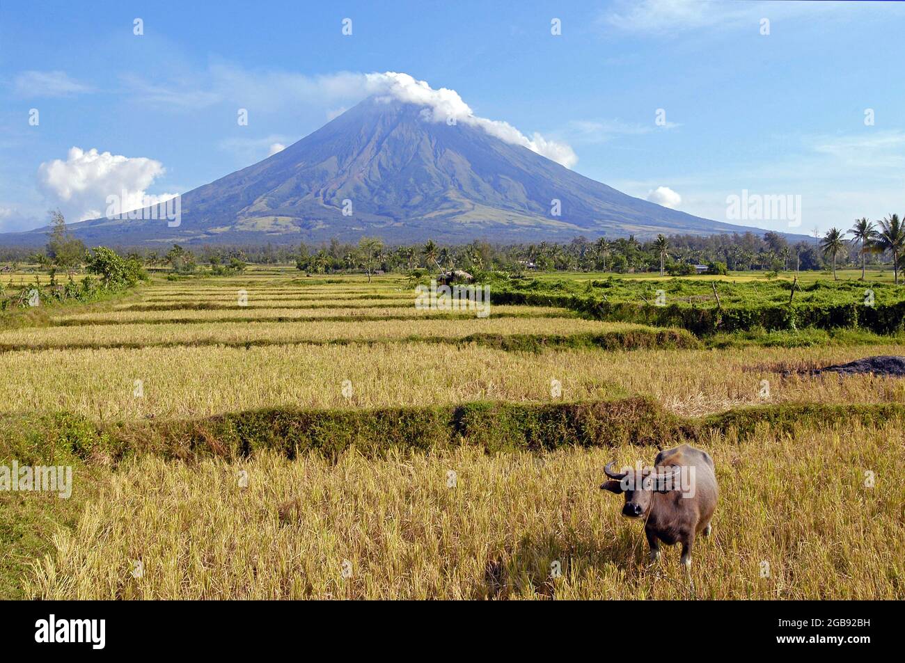 Subduction zone hi-res stock photography and images - Alamy