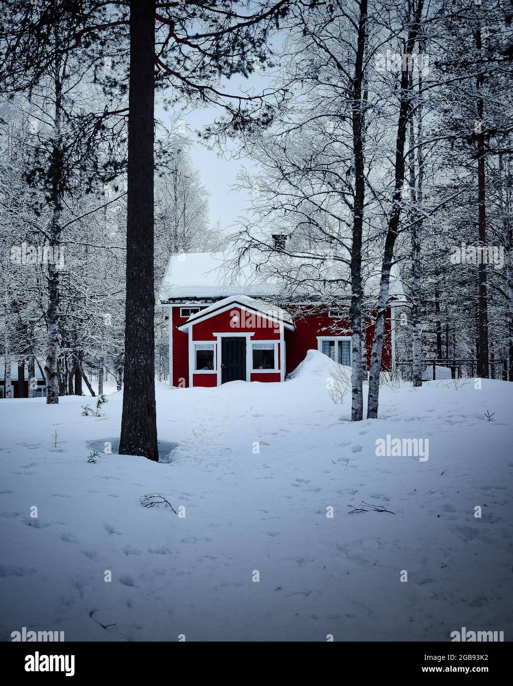 Red hut in the forest at blue hour, Rovaniemi, Finland Stock Photo - Alamy