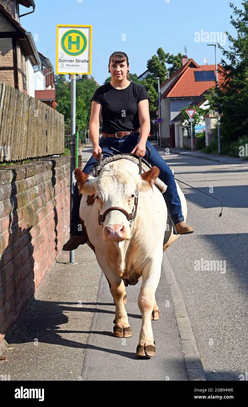 23 July 2021, Baden-Wuerttemberg, Ölbronn-Dürrn: Sonja Keller rides out with the cow Melina ...