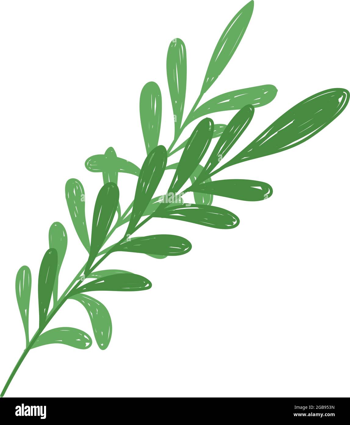 branch leaves foliage Stock Vector Image & Art - Alamy