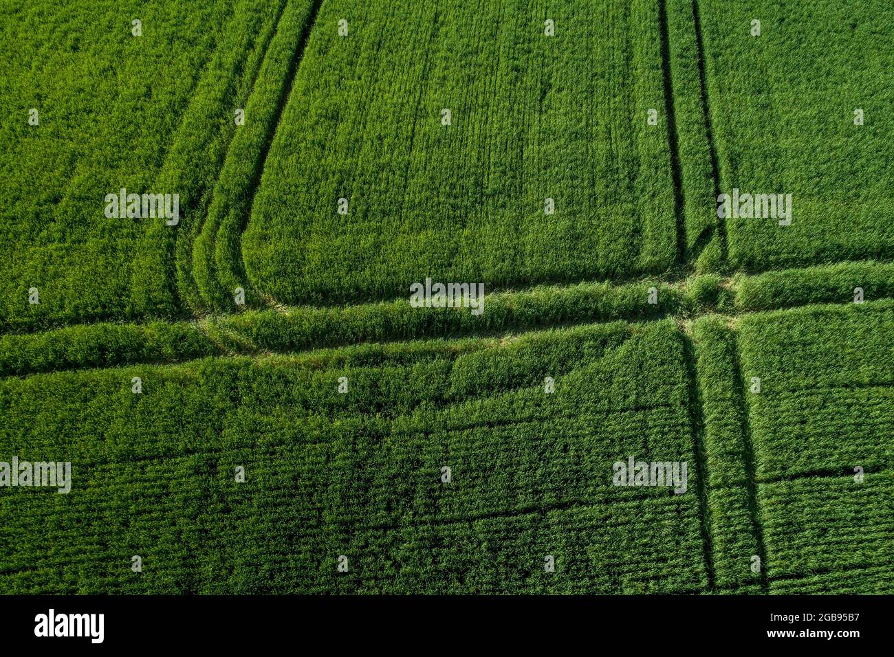Tilled field hi-res stock photography and images - Alamy