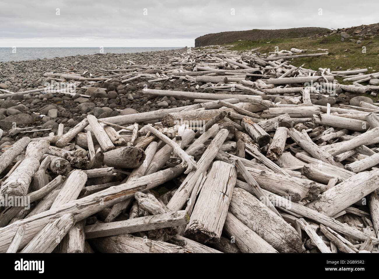 Beach, Driftwood, Langanes Peninsula, Iceland Stock Photo - Alamy