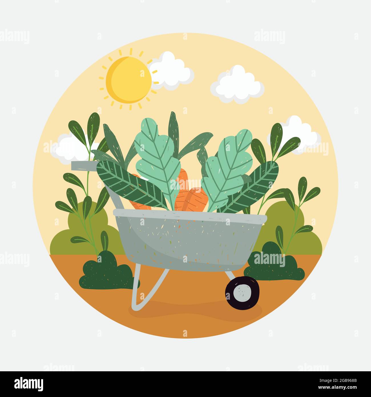 garden wheelbarrow with carrots Stock Vector Image & Art - Alamy