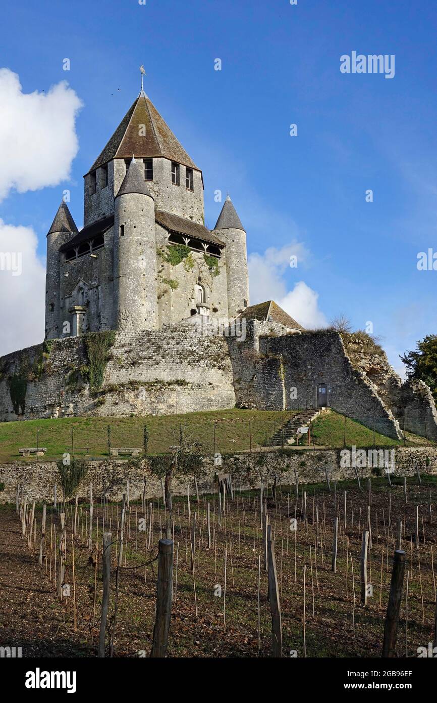 Tour Cesar, Caesar's Tower, the only octagonal donjon on a quadrangular ...