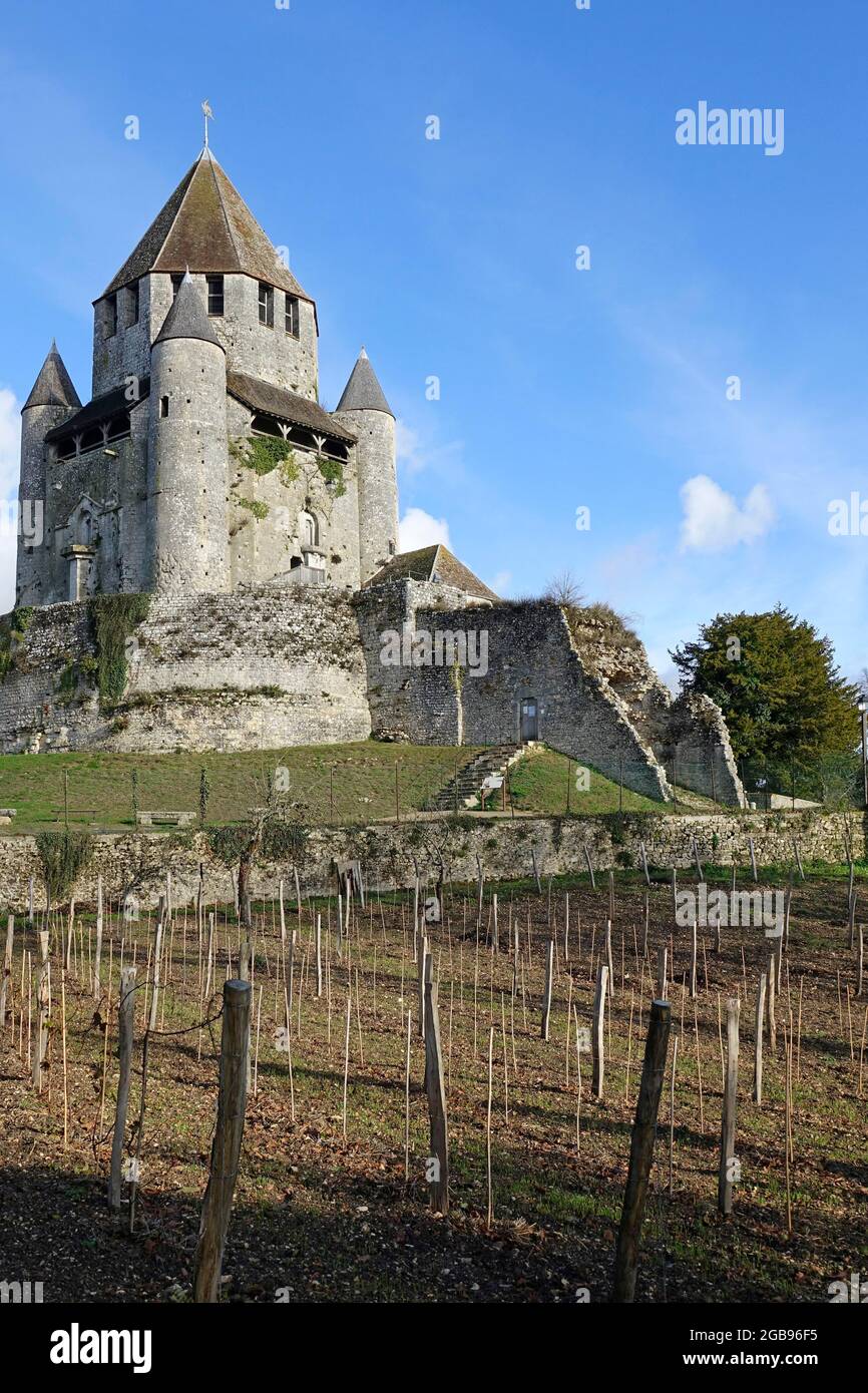 Tour Cesar, Caesar's Tower, the only octagonal donjon on a quadrangular ...