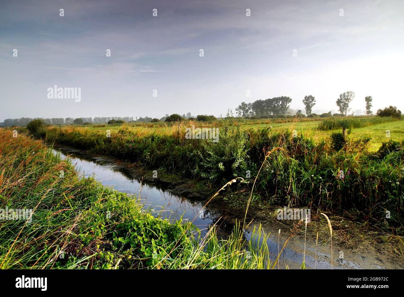 Grassland in the Droemling, drainage ditch, lowland moor, lowland area ...