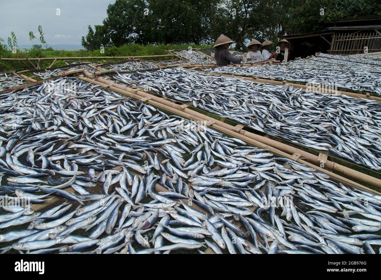 Traditional fisherman at West Java of Indonesia Stock Photo - Alamy