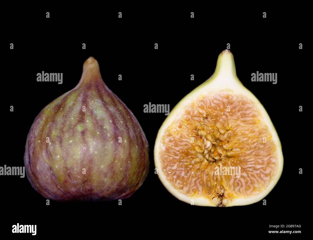 Halved Common fig (Ficus carica), studio shot against black background ...