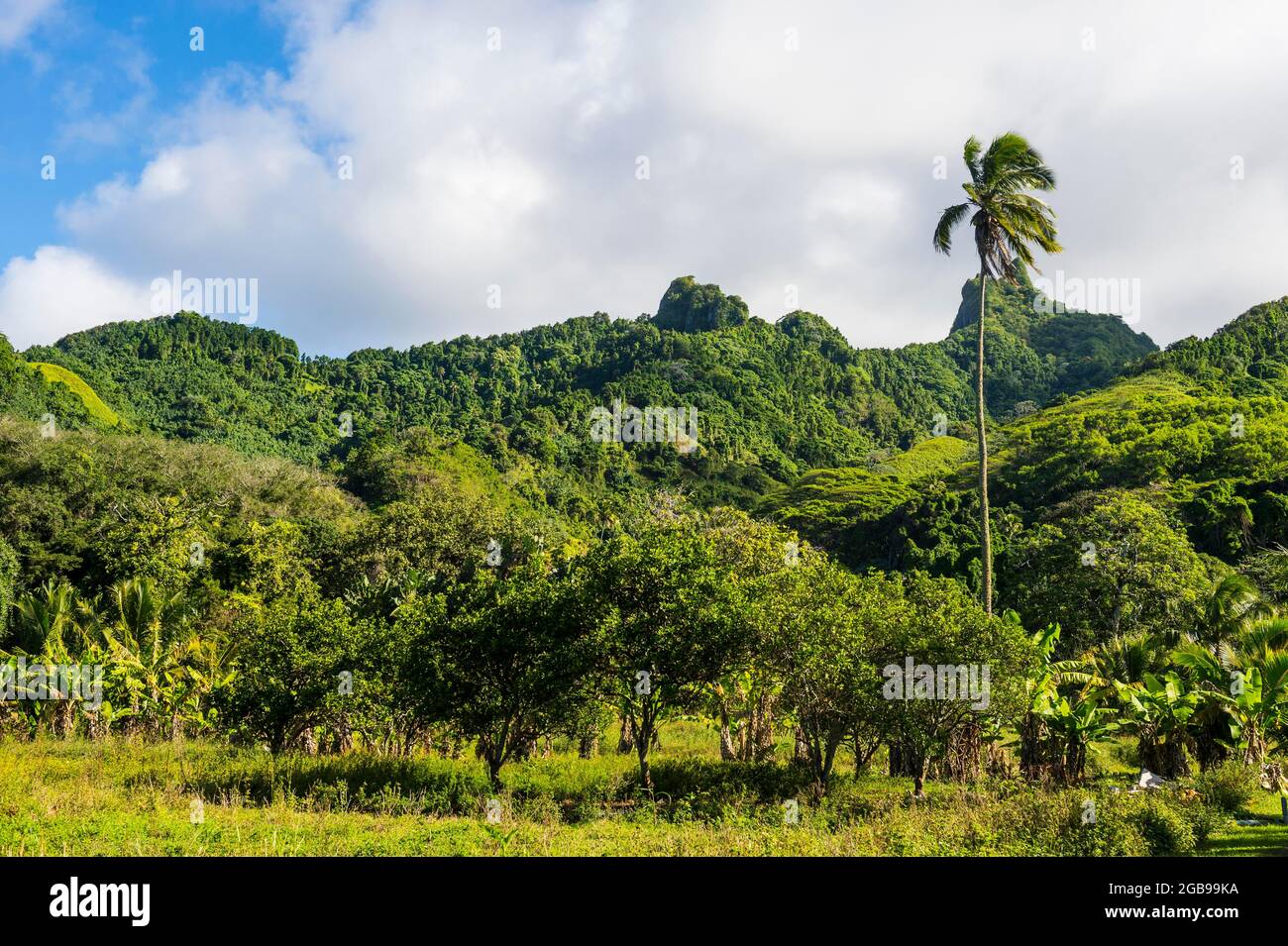 Rarotonga rarotonga hi-res stock photography and images - Alamy