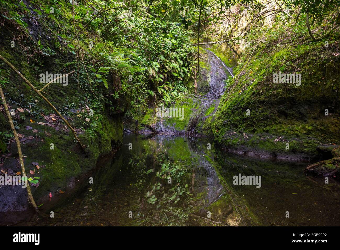 Wigmore's Waterfall (Papua Waterfall), Rarotonga, Rarotonga and the ...
