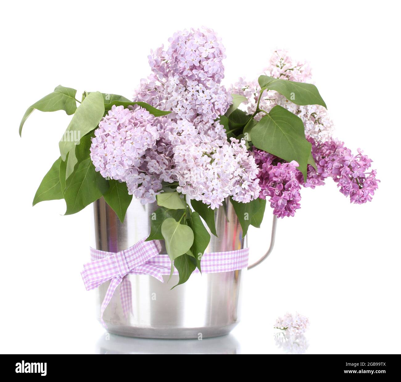 beautiful lilac flowers in metal bucket isolated on white Stock Photo ...