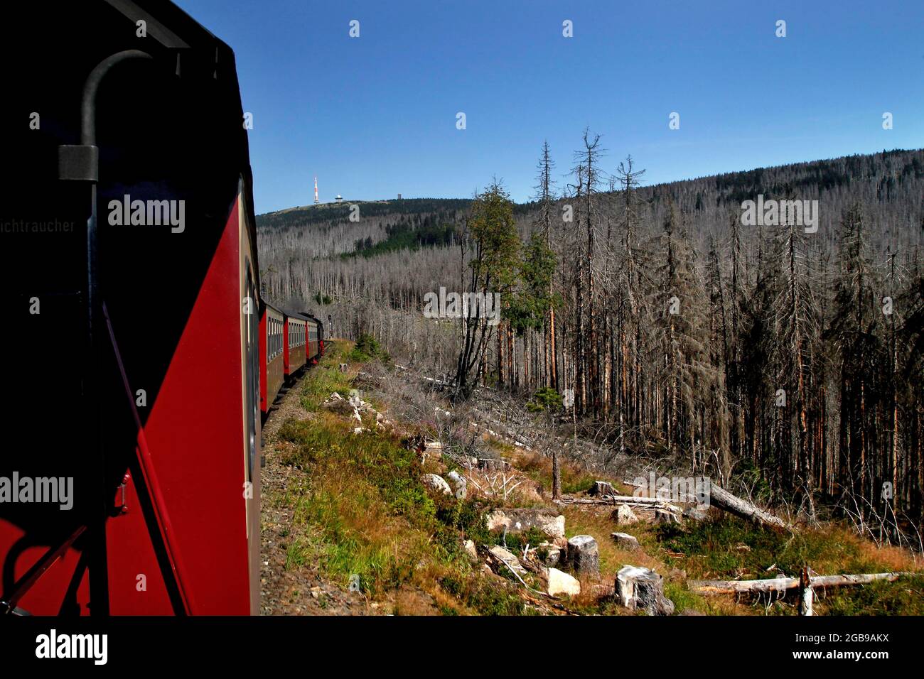 Harz narrow gauge railway, Brocken railway, steam locomotive, view of ...