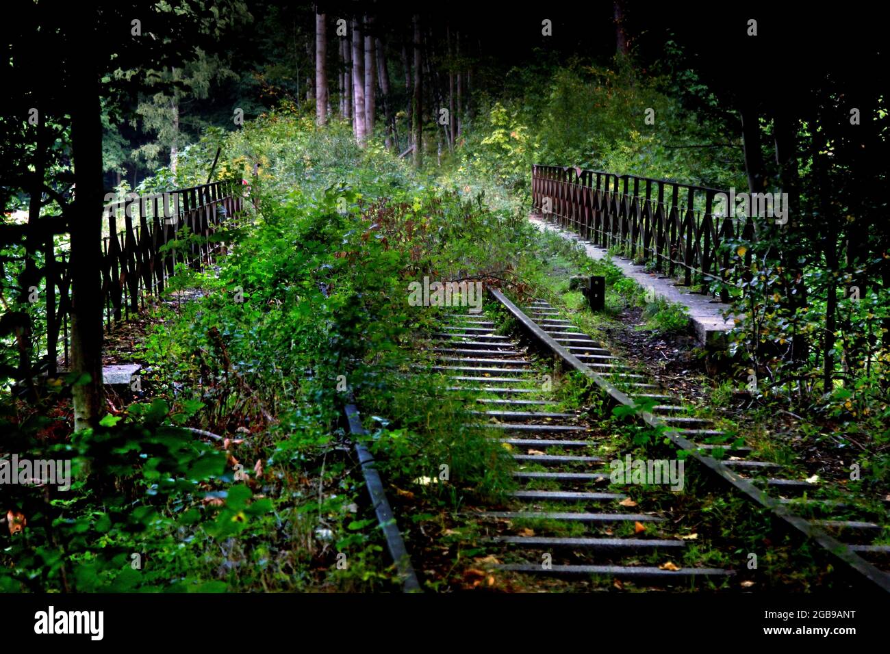 Small Gauge Railroad Track