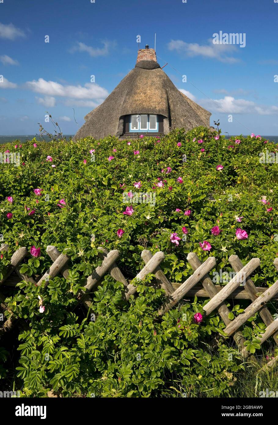 Thatched roof house, Frisian house, Hoernum, Sylt, North Sea, North ...