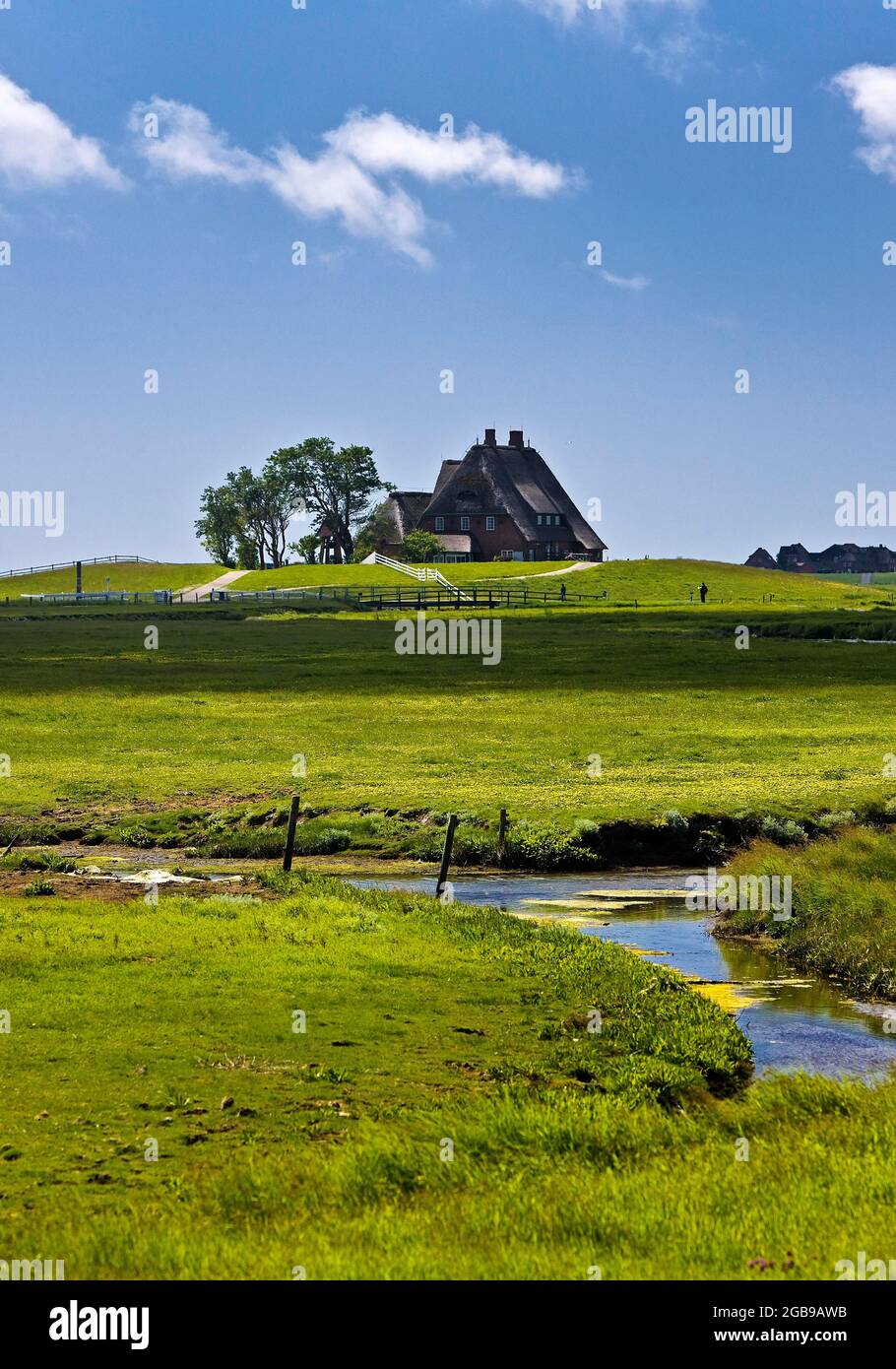 The Kirchwarft with marshland and drainage ditches, Hallig Hooge, North ...