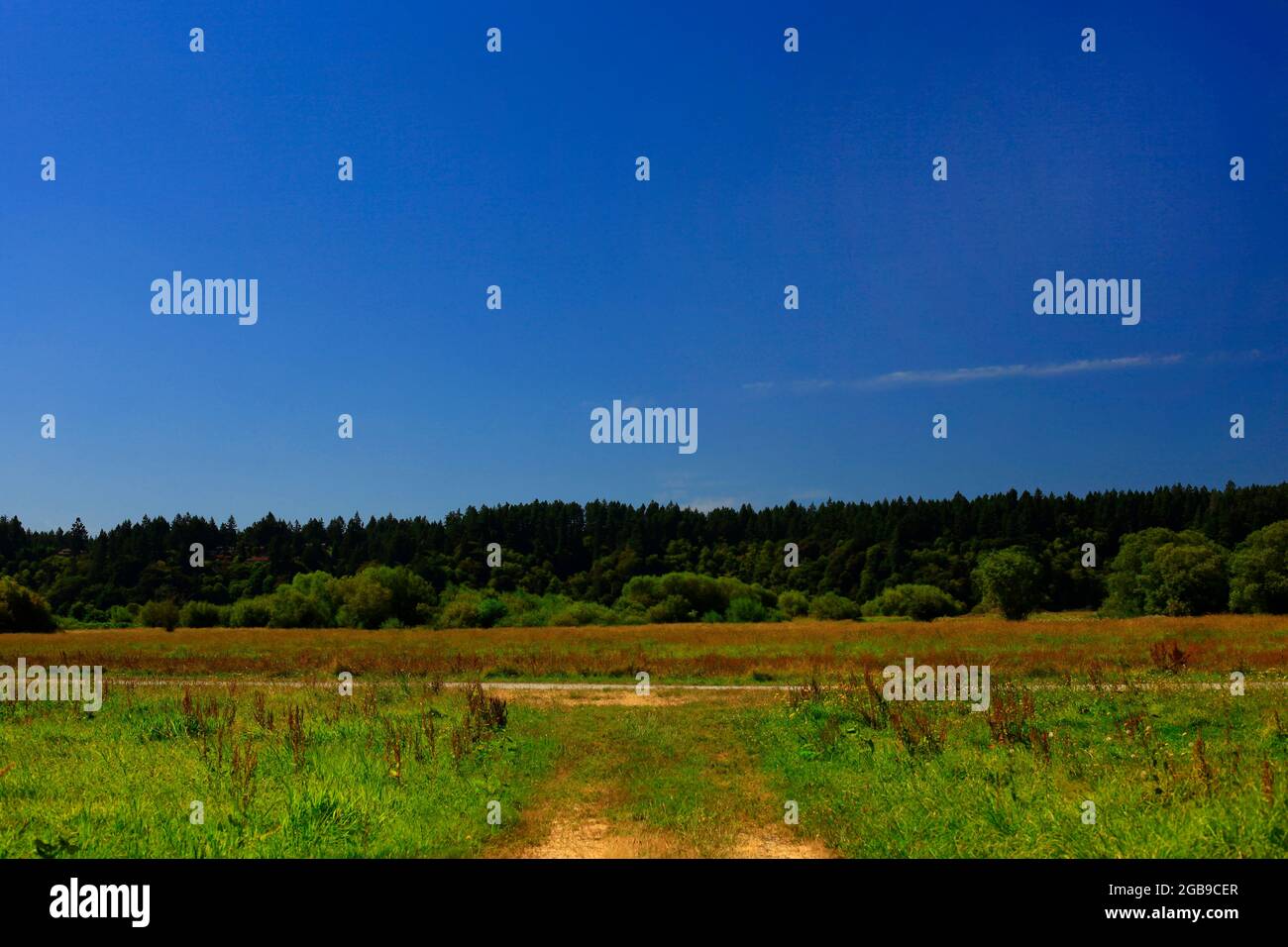 Wetlands meadow preserve hi-res stock photography and images - Alamy