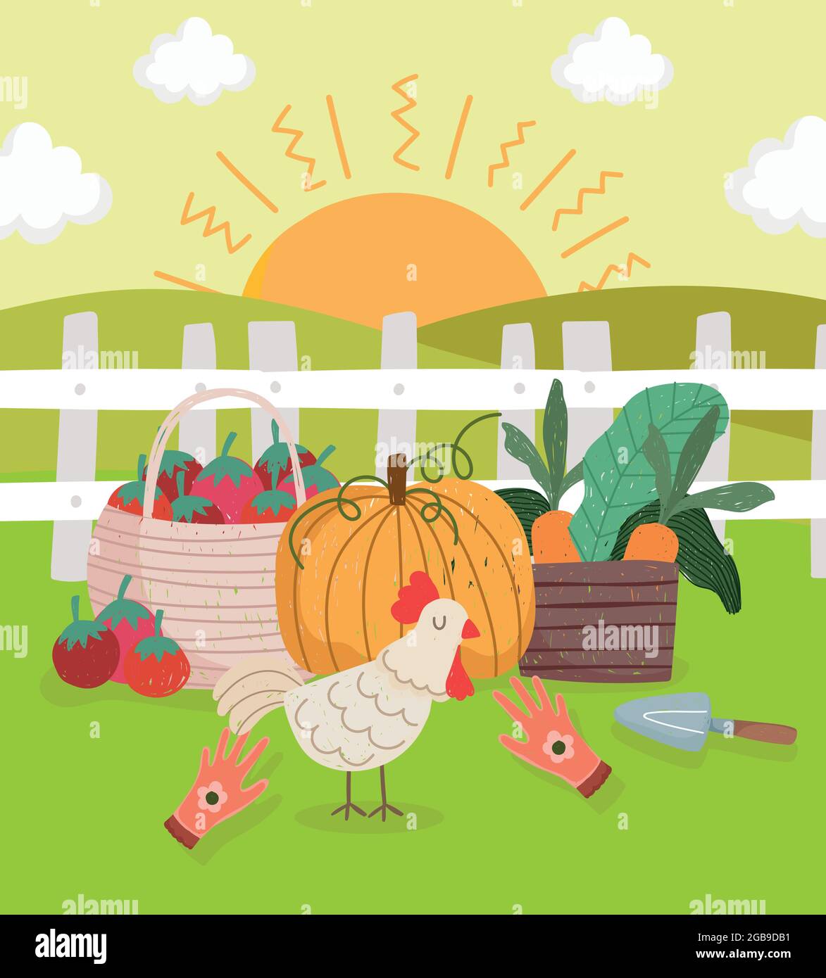 farm organic food and chicken Stock Vector Image & Art - Alamy