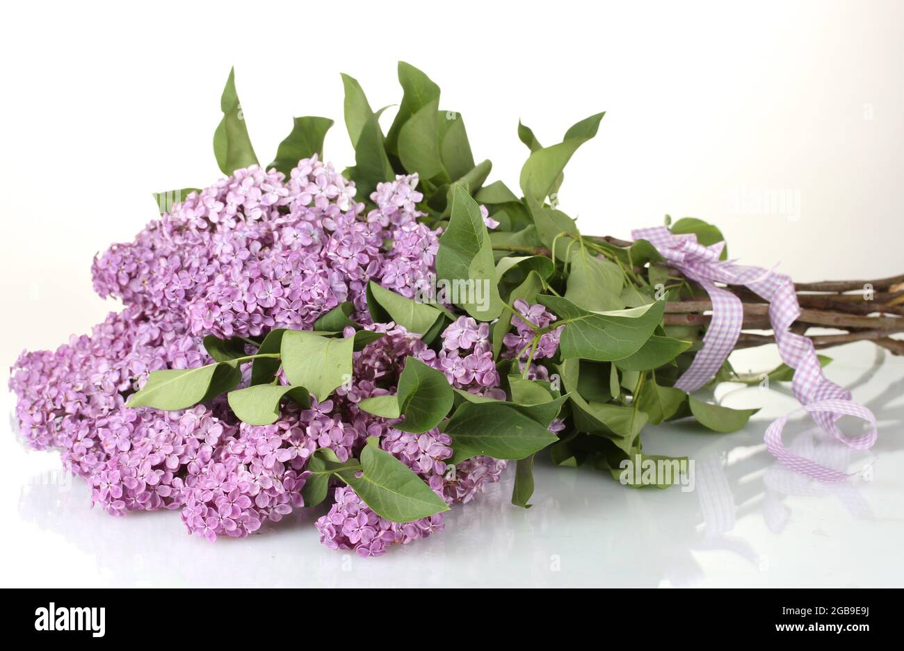 beautiful lilac flowers isolated on white Stock Photo - Alamy
