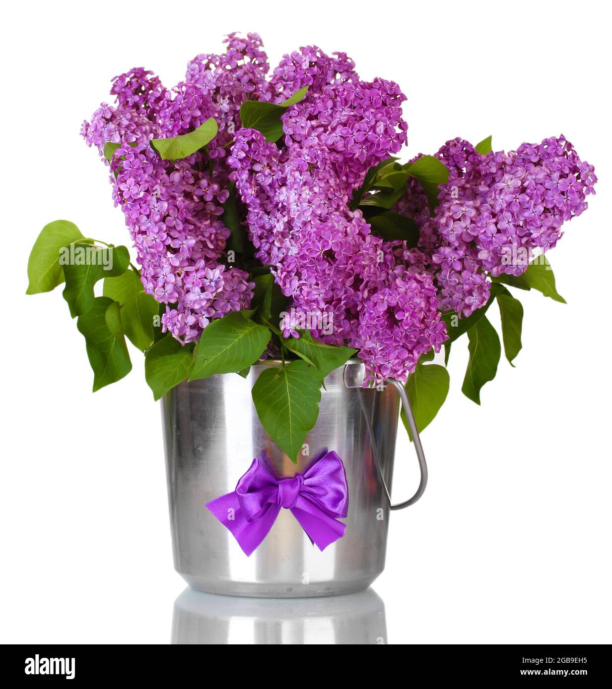 beautiful lilac flowers in metal bucket isolated on white Stock Photo ...