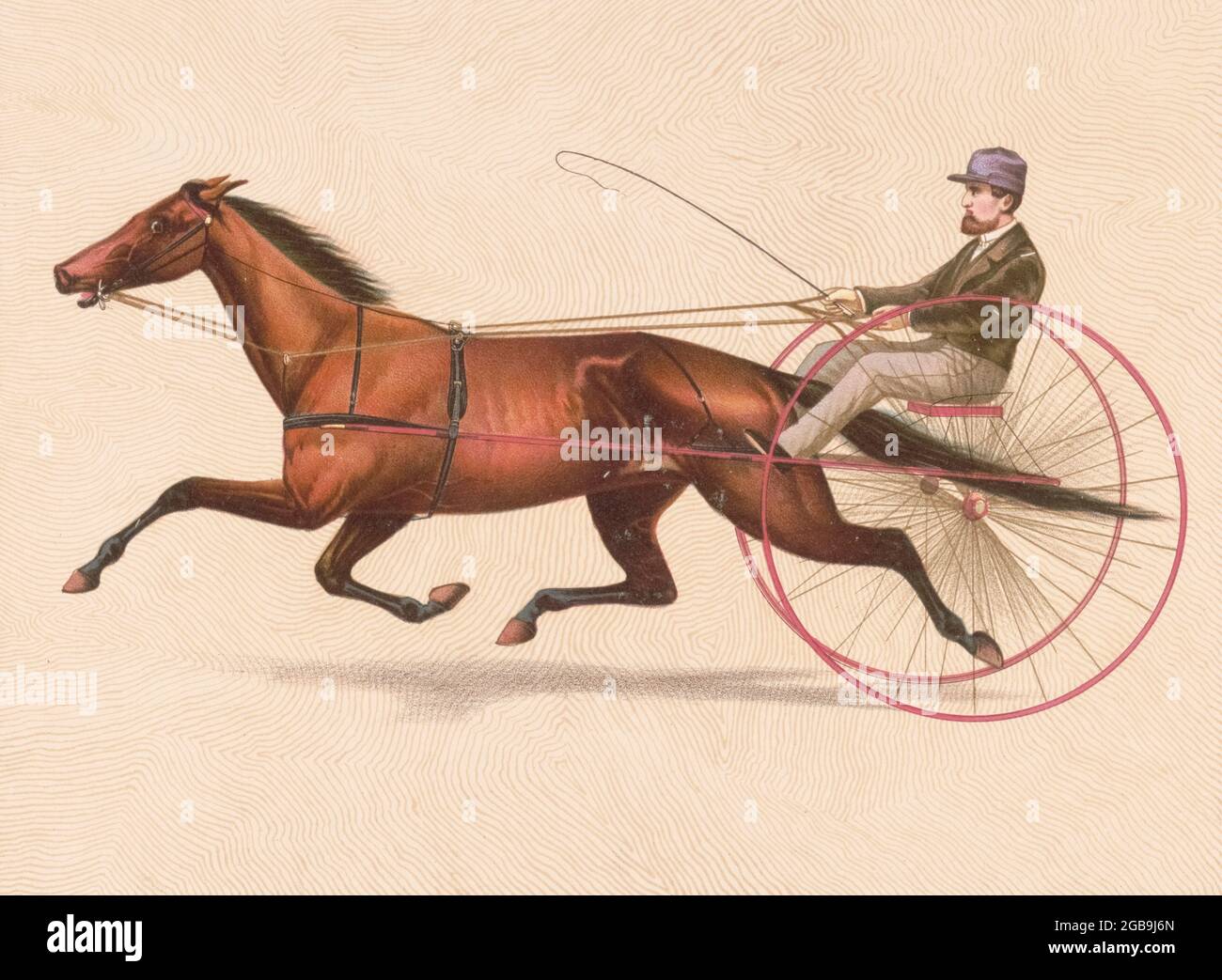Goldsmith Maid (1857 – September 23, 1885) was a prominent Standardbred ...