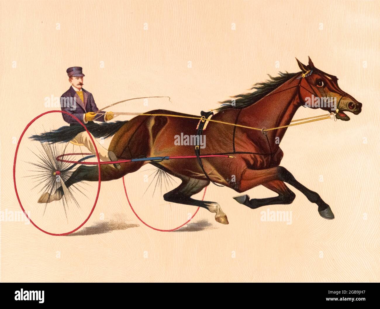 Celebrated trotting horse hi-res stock photography and images - Alamy
