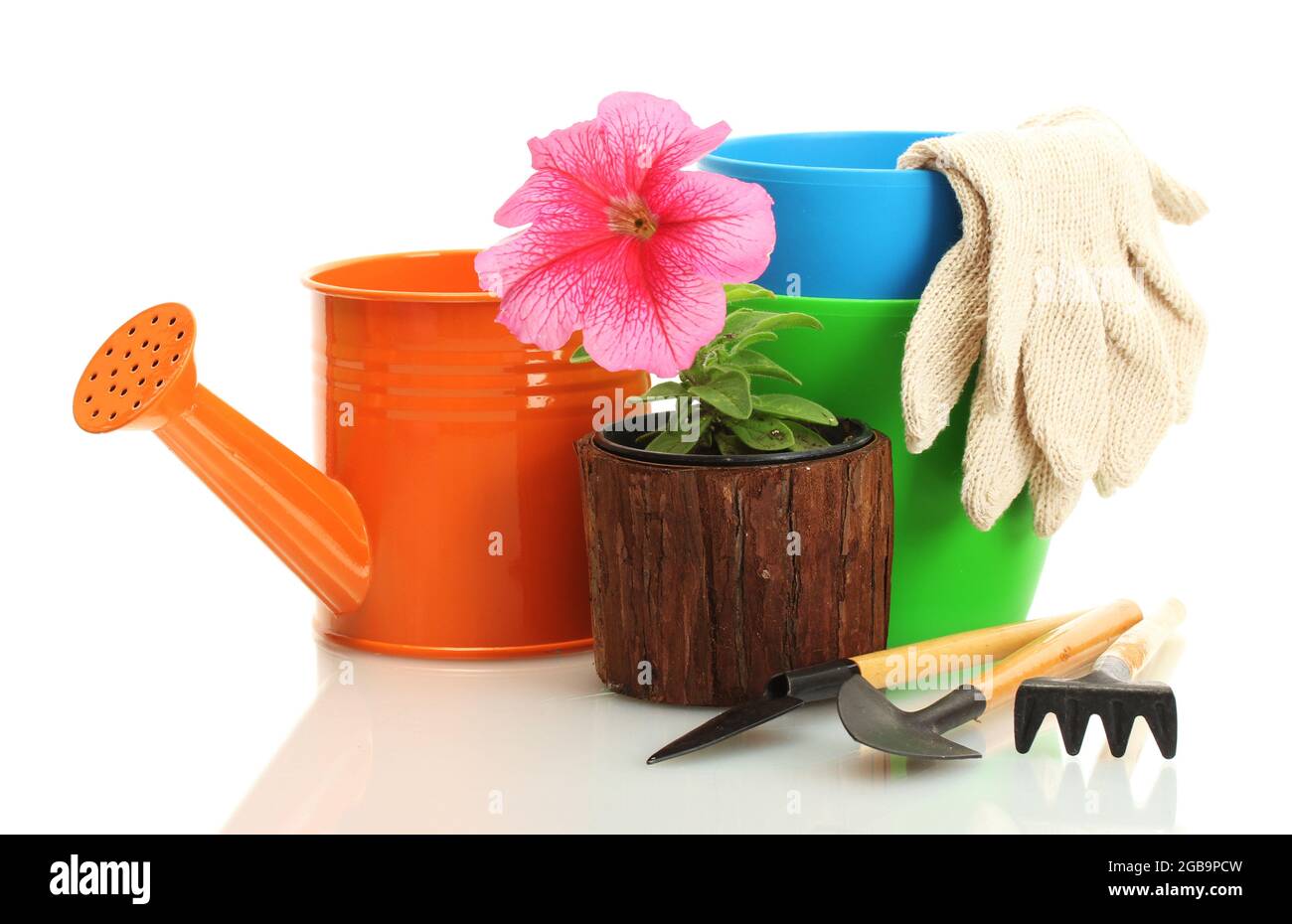 watering can, tools and plant in flowerpot isolated on white Stock ...