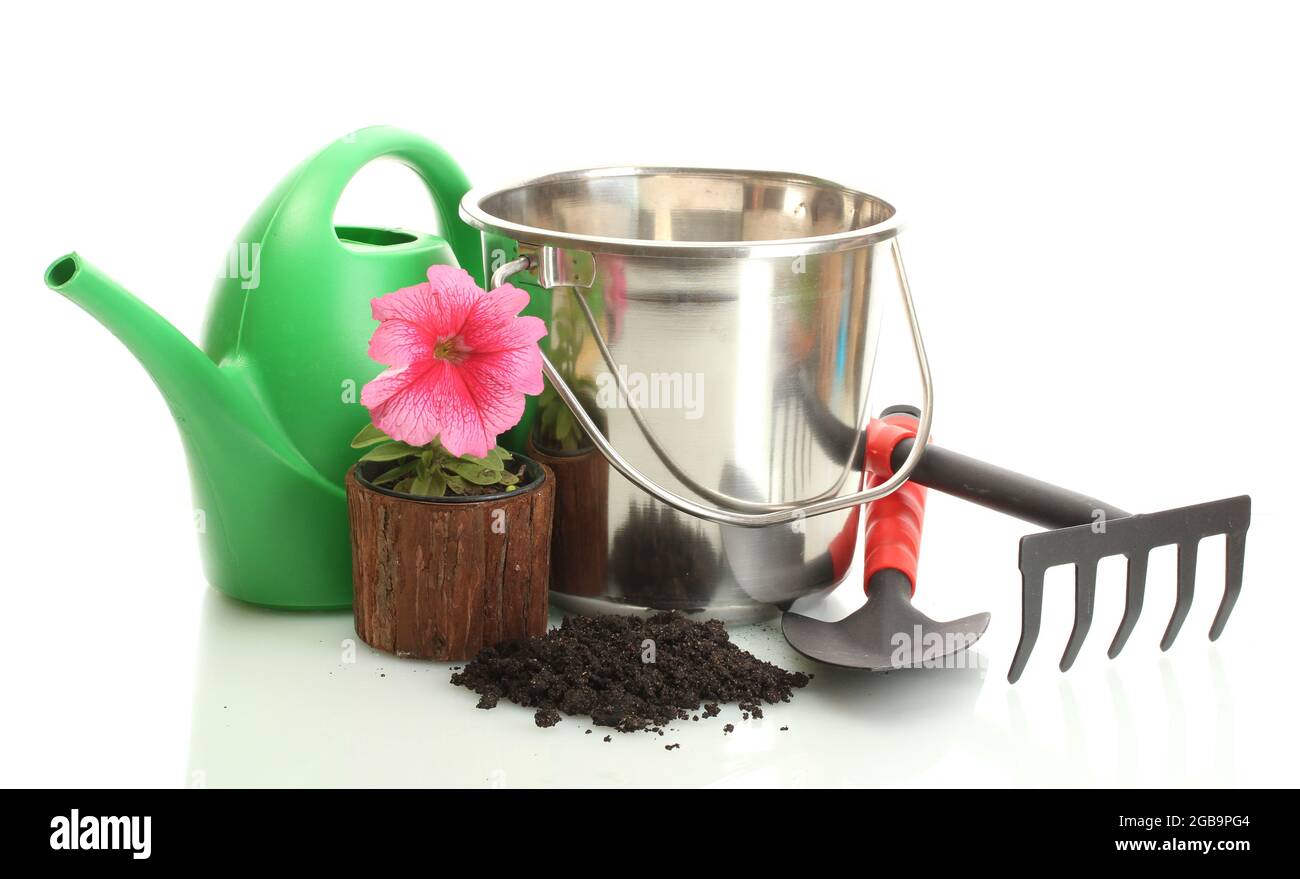 watering can, bucket, tools and plants in flowerpot isolated on white ...