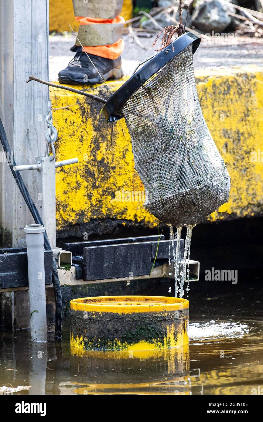 09 June 2021, Lower Saxony, Emden: Björn Fuhlendorf, NPorts employee ...