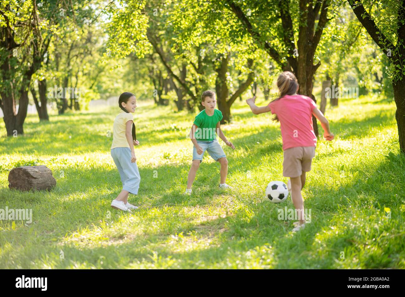 Junior children playing soccer on lawn Stock Photo - Alamy