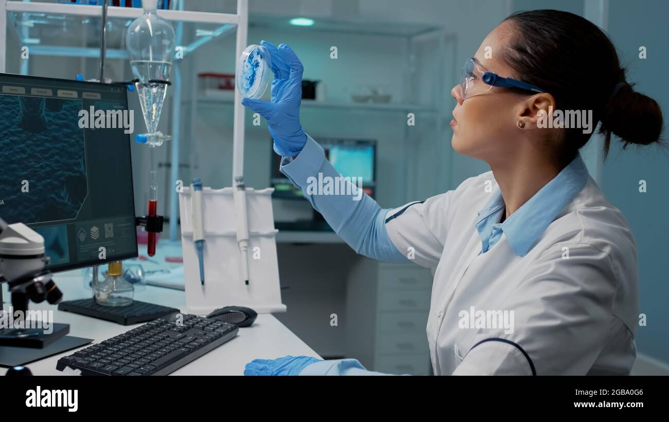 Scientist in laboratory analyzing petri dish with liquid bacteria while ...