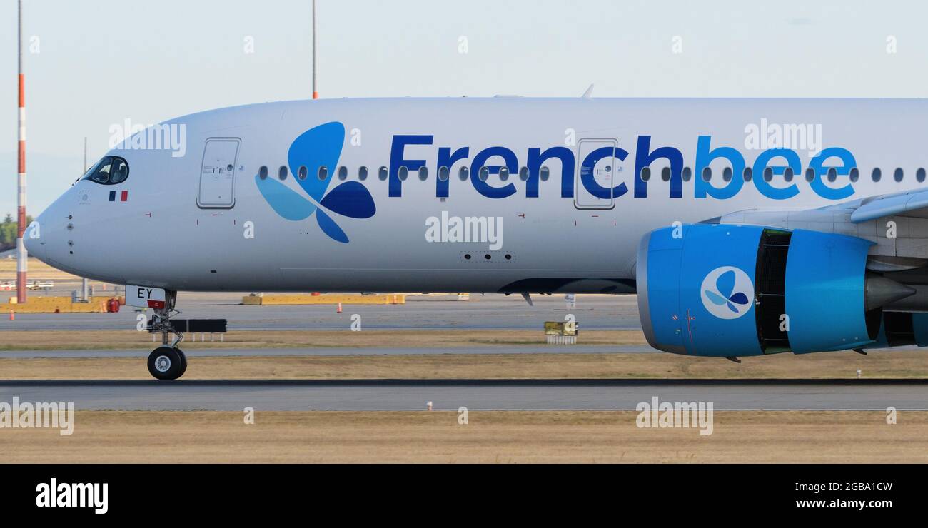 French Bee Illustration