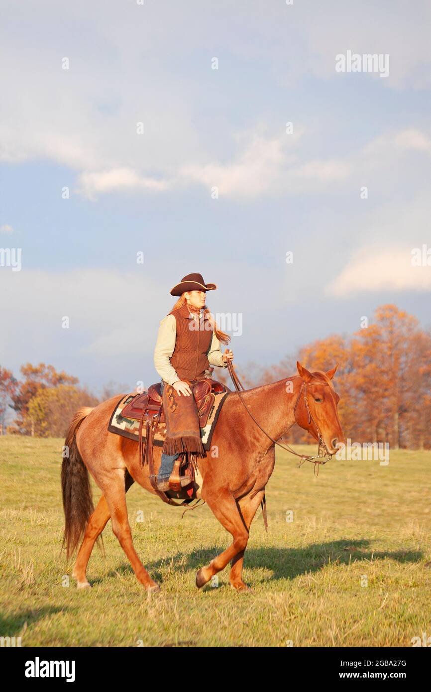 Western saddle on chestnut horse hi-res stock photography and images ...