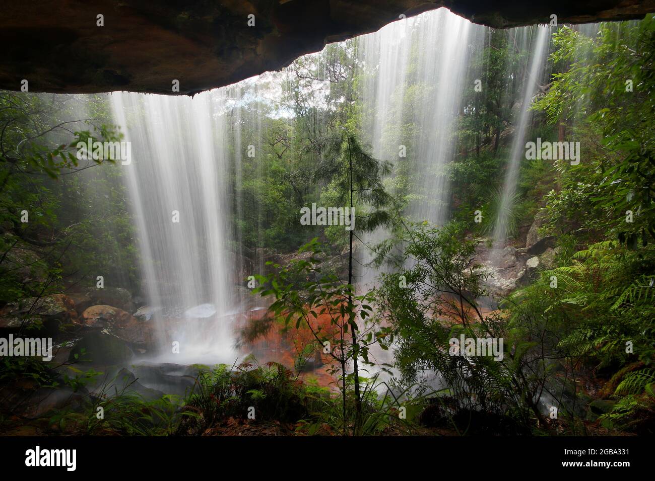Stream waterfall behind in forest hi-res stock photography and images ...