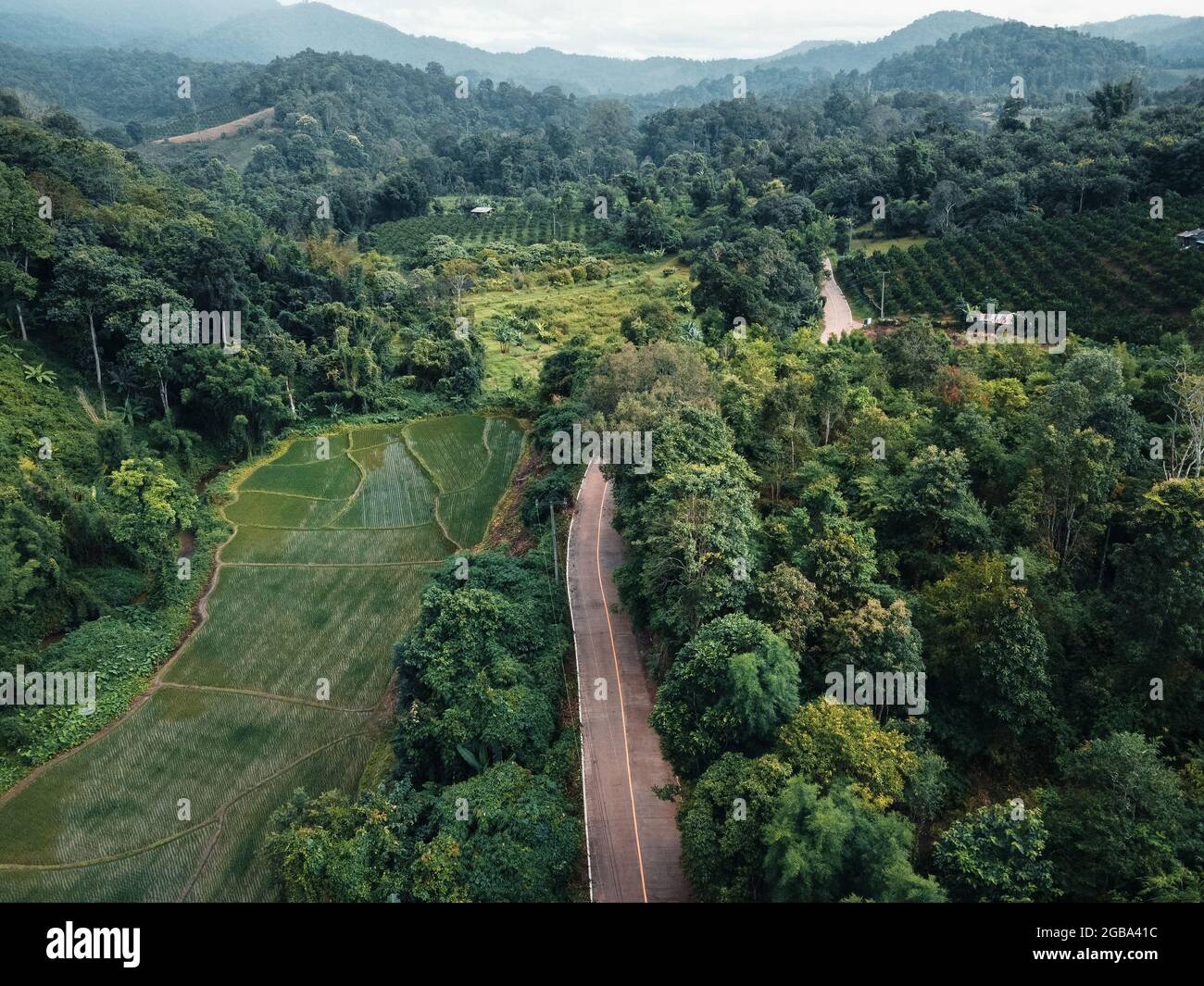 The road to the farmland and fields in the green forest Stock Photo - Alamy
