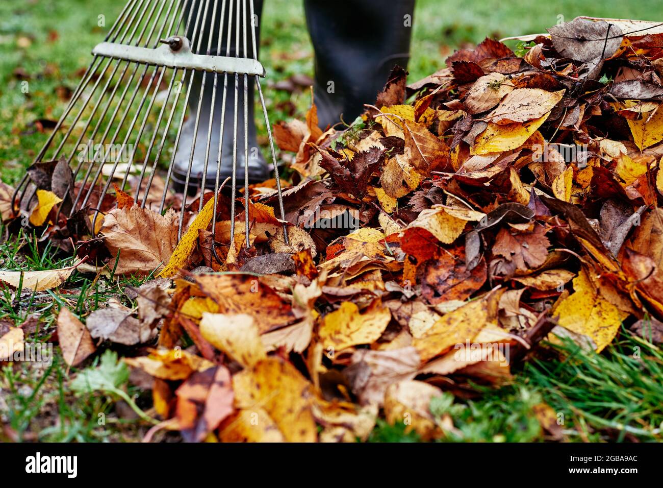 Yard cleanup hi-res stock photography and images - Alamy