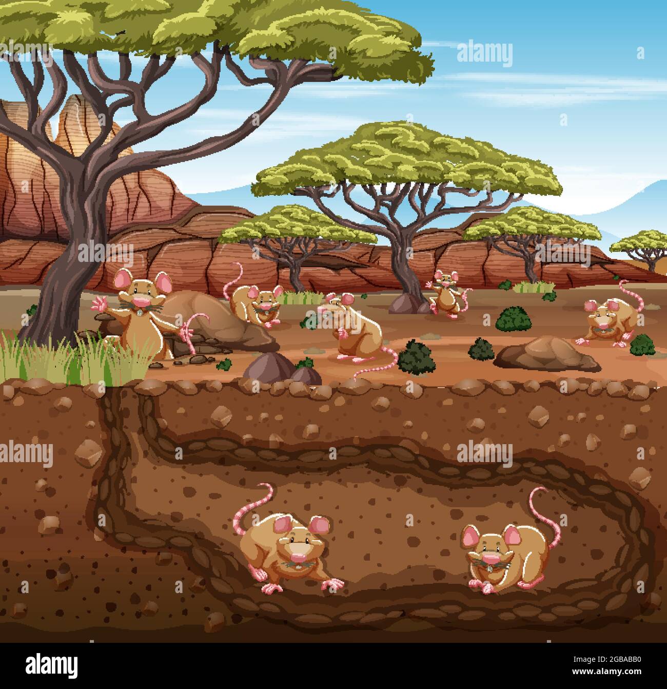 Underground animal burrow with rat family illustration Stock Vector Image & Art - Alamy