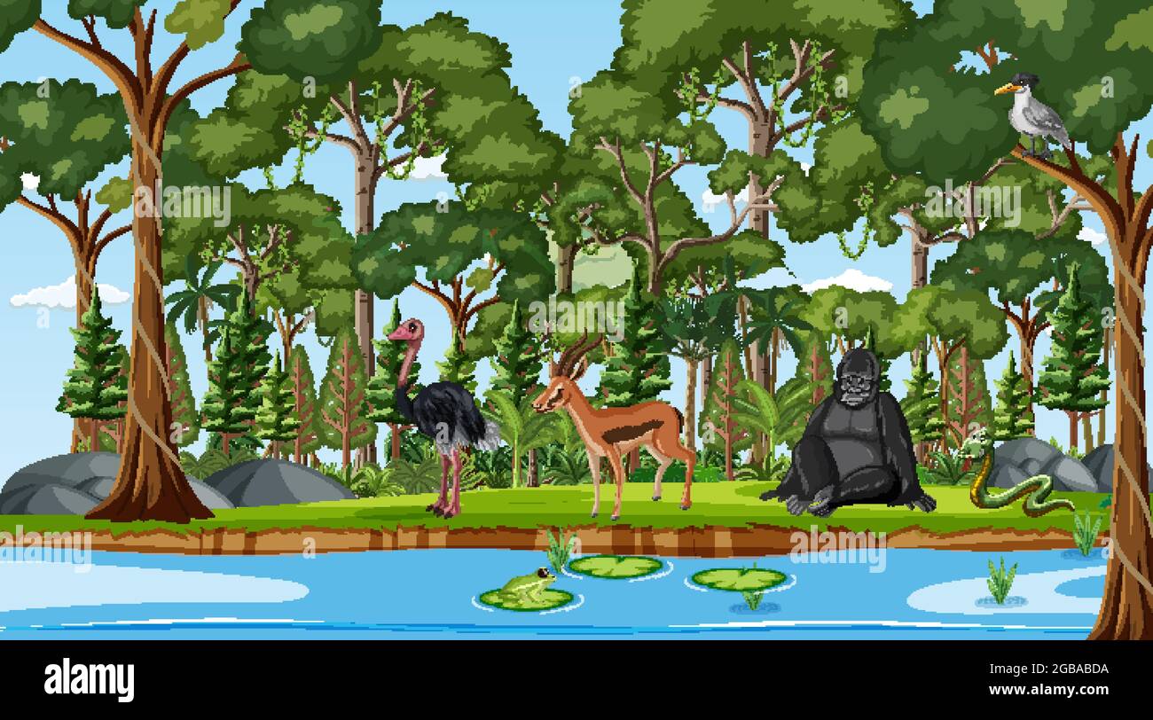 Forest scene with different wild animals illustration Stock Vector ...