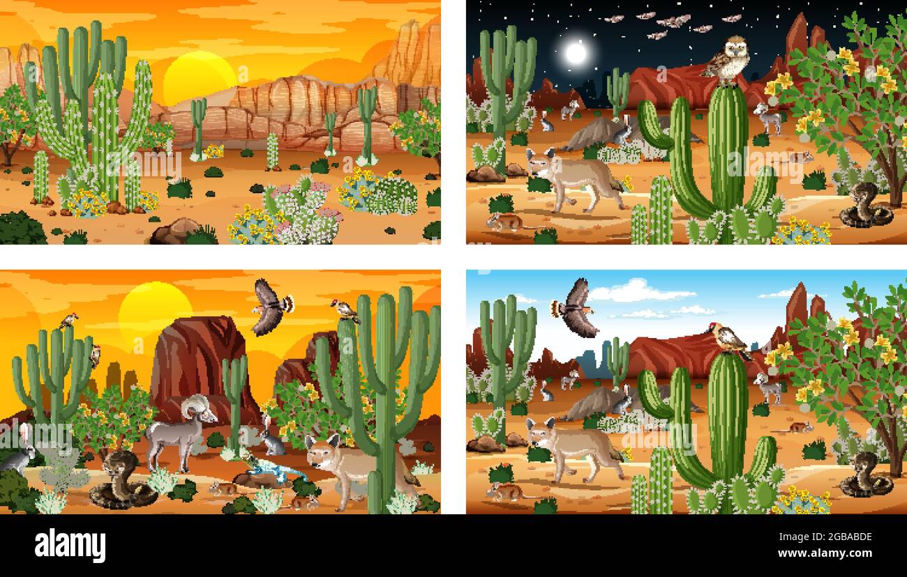 Different desert forest scenes with animals and plants illustration ...