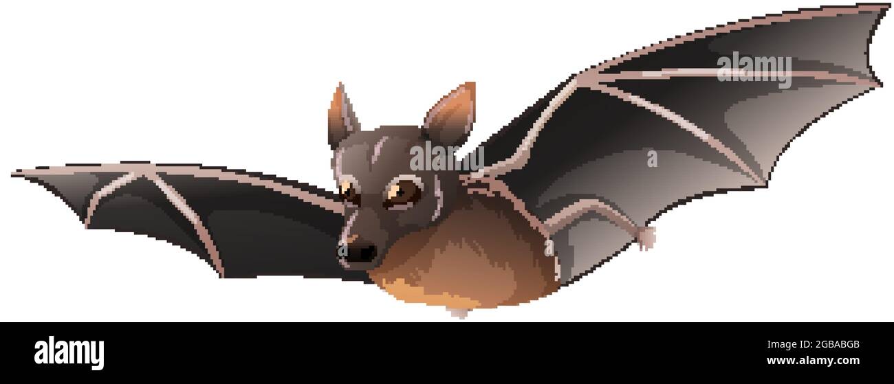 Little Red Bat in cartoon style on white background illustration Stock ...