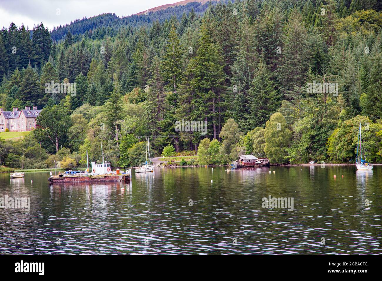 Mysterious Loch Ness with dark waters and picturesque shores lined with ...