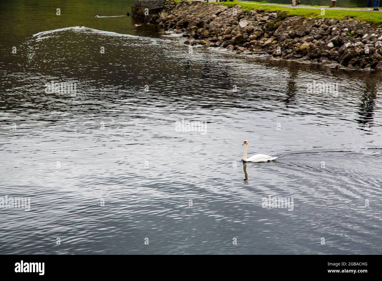 Mysterious Loch Ness with dark waters and picturesque shores lined with ...