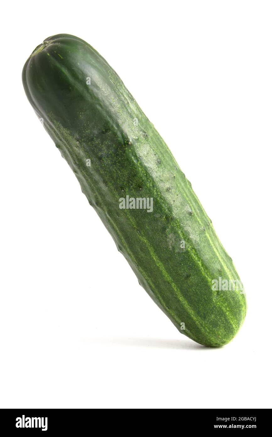 Cucumber isolated on a white background vertically Stock Photo - Alamy