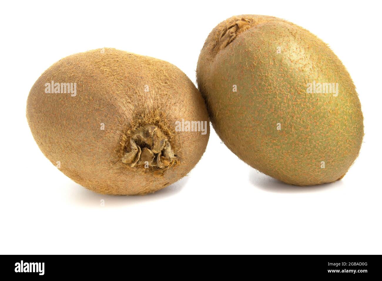 Kiwi fruit close up, fruit isolated on white background Stock Photo - Alamy