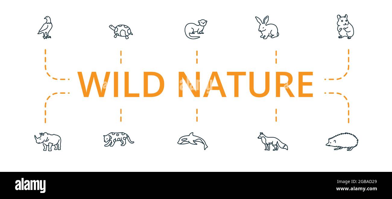 Wild Nature icon set. Contains editable icons theme such as jaguar ...