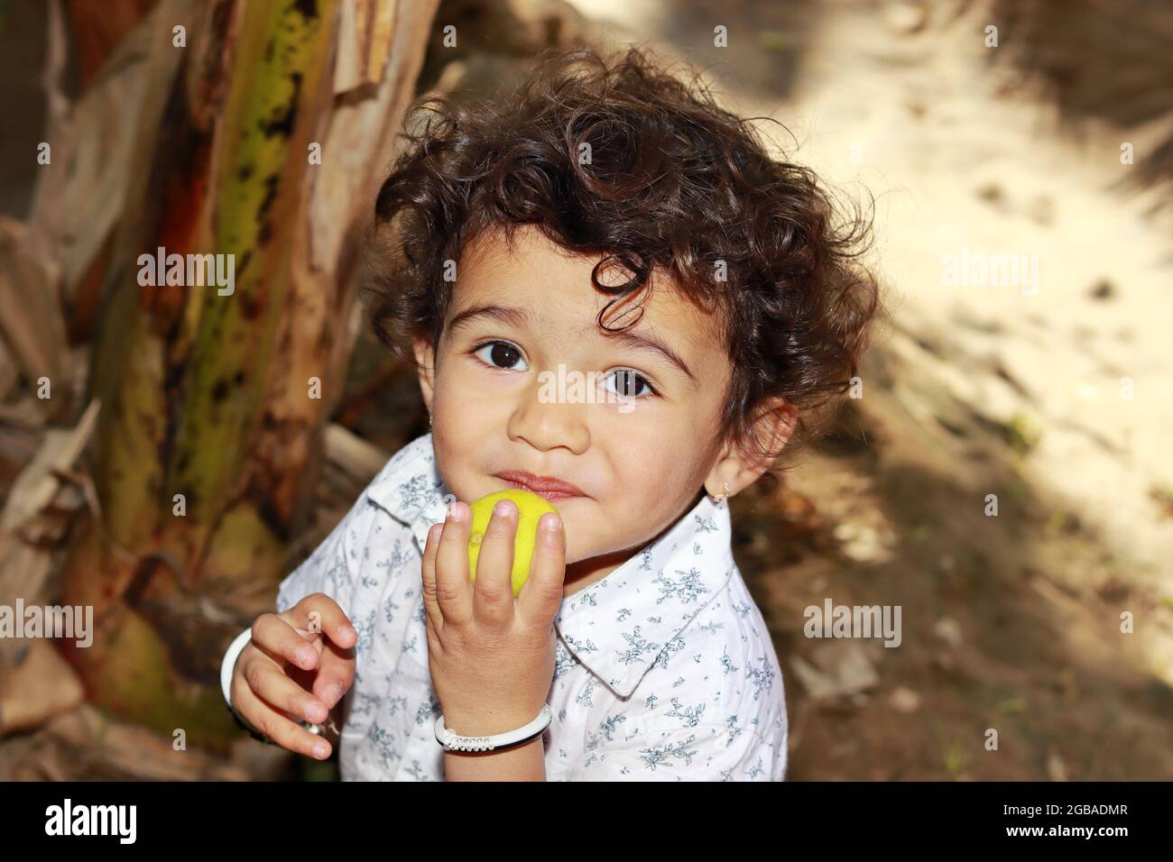 Close-up portrait of An Asian little male boy eating ripe fruit in the ...
