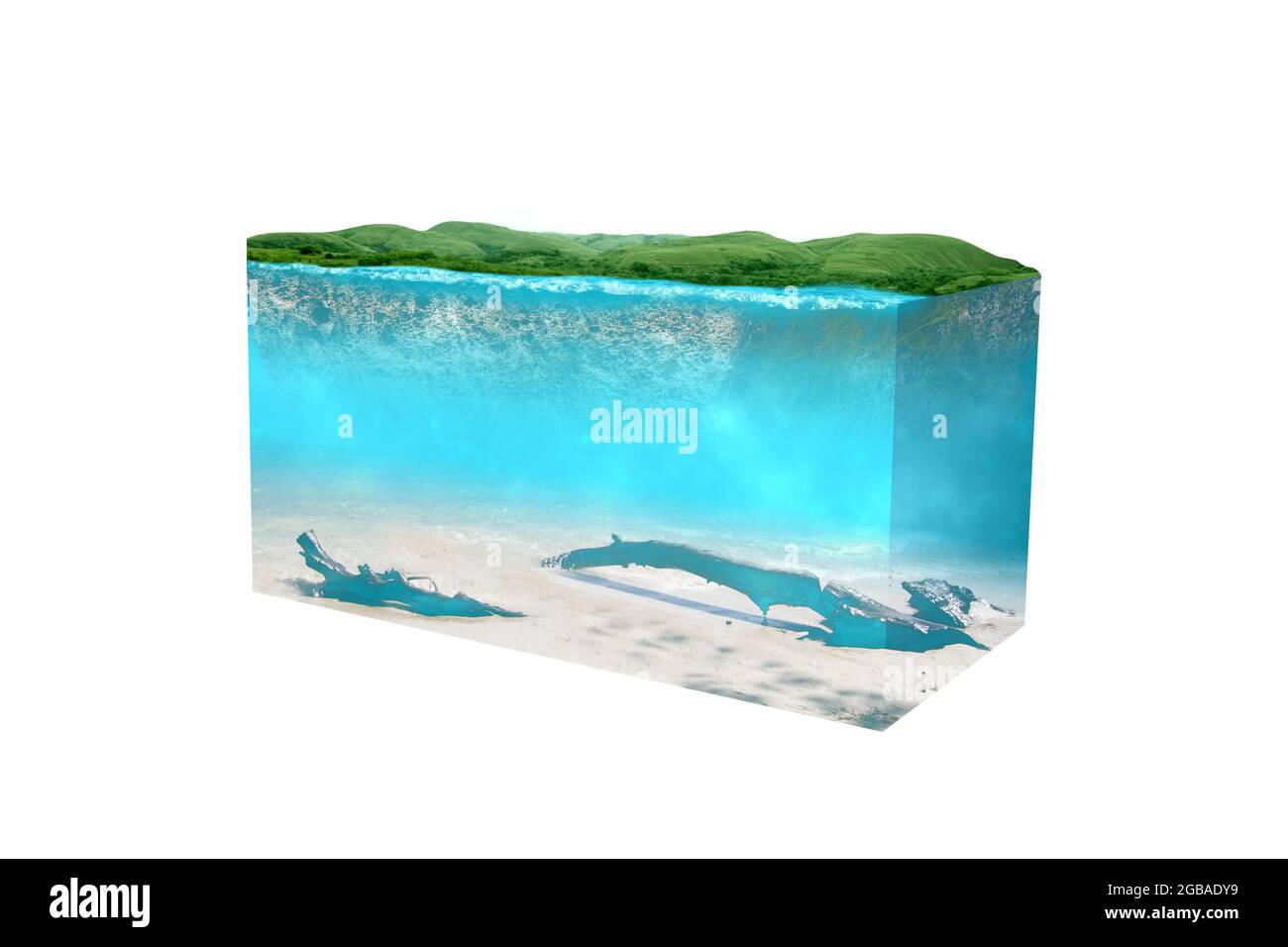 Panoramic view lake green Cut Out Stock Images & Pictures - Alamy